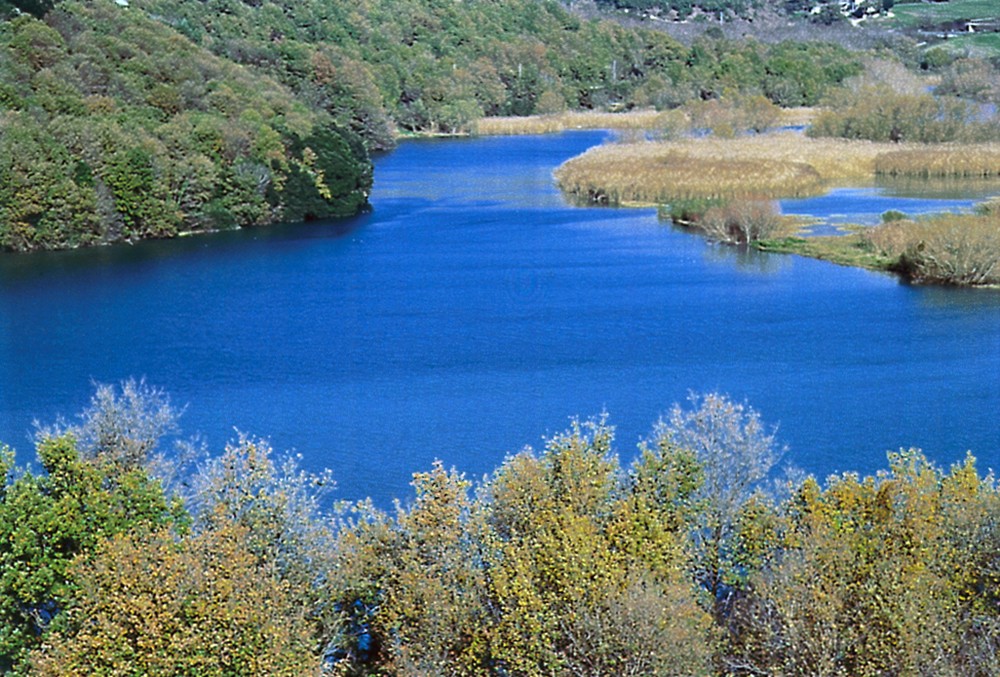Fiumi: benefici e gestione sostenibile - Giornale Ambiente