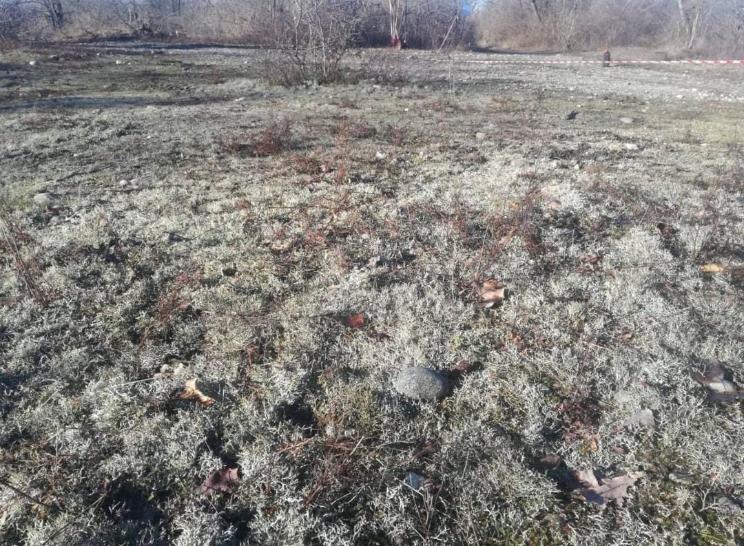 Ripristinare gli habitat delle zone aride a rischio