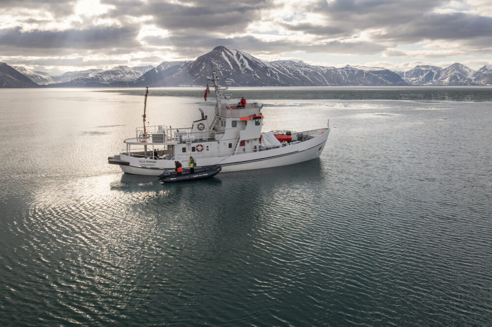Norvegia, sulle rotte dei beluga sfidando il freddo artico