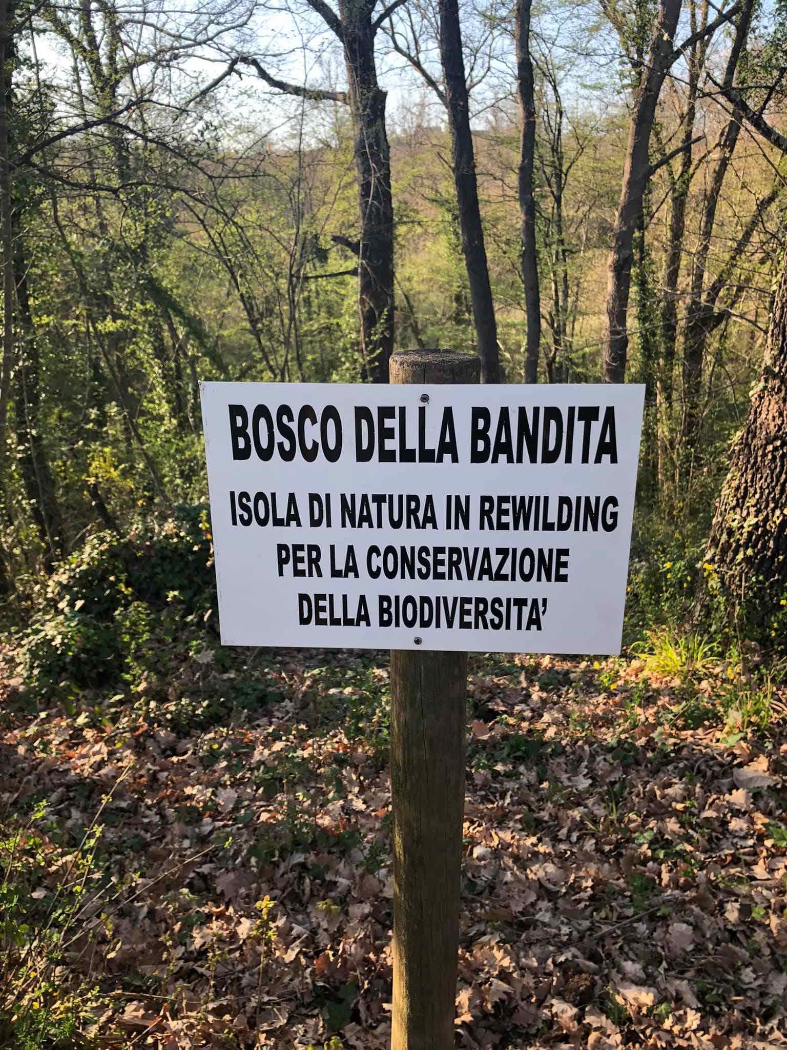 Il Bosco della Bandita diventa parco naturale protetto